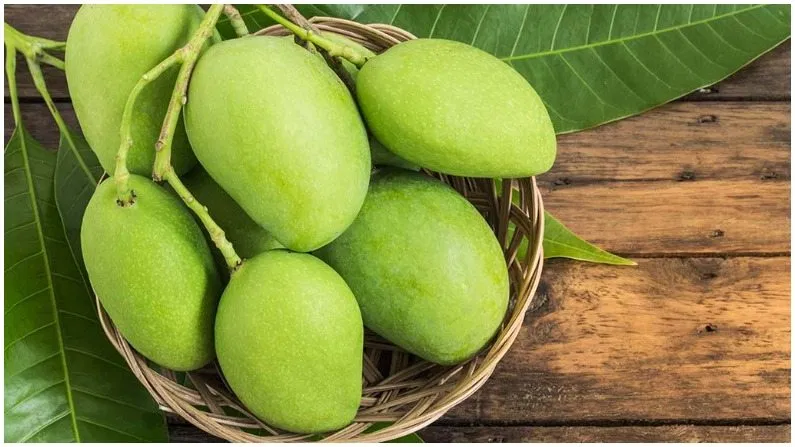 Global Trade Link - Organic Food